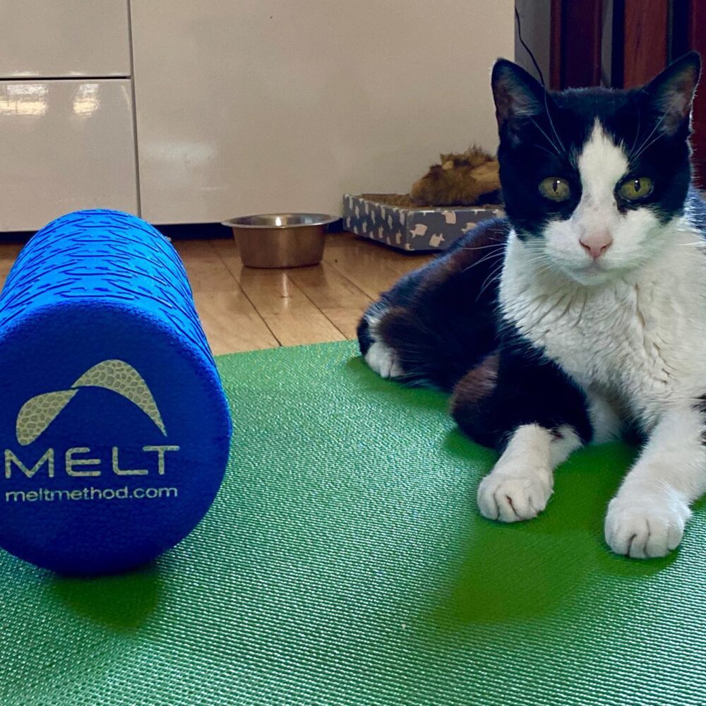 FLUID CORE: Coherency & Connective Tissue - Core Awareness