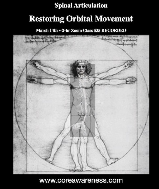 Spinal Articulation: Restoring Orbital Movement ~ 2-hr Zoom Class ... Spinal Articulation: Restoring Orbital Movement ~ 2-hr Zoom Class ...