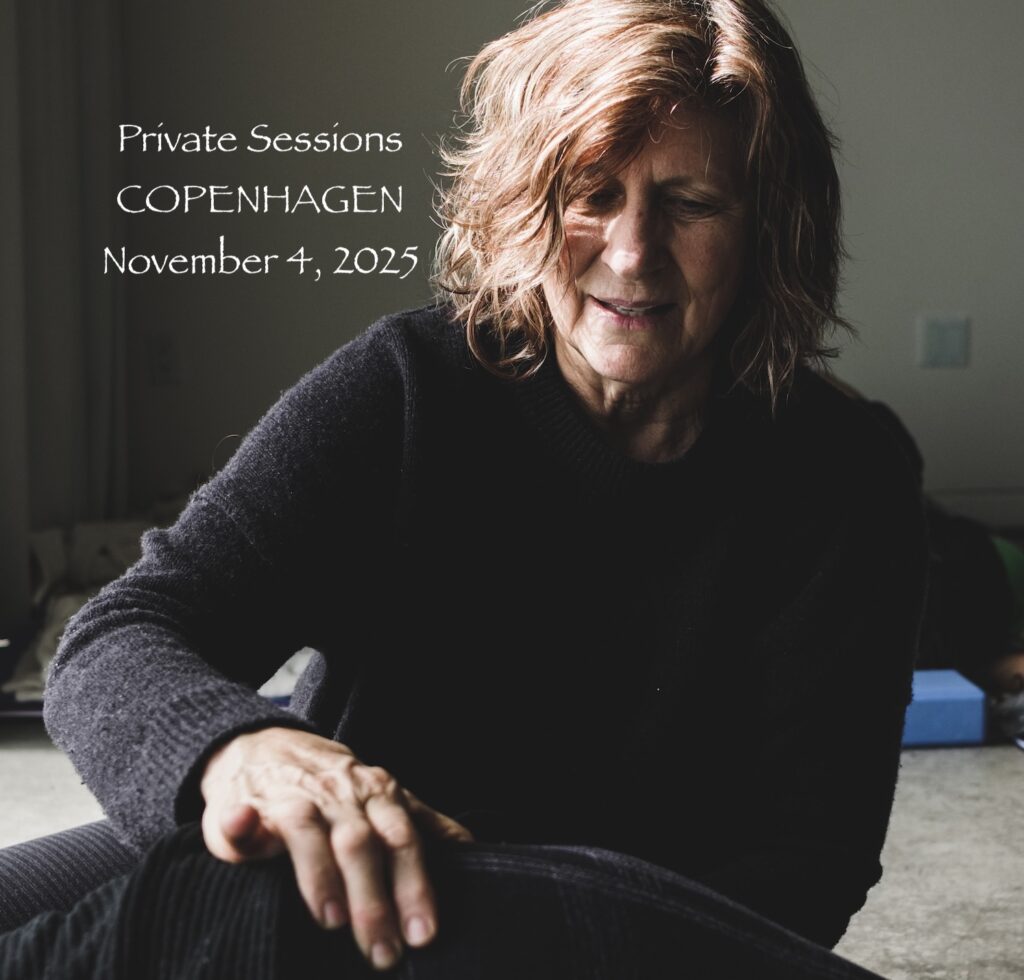 Private Sessions with Liz Koch Copenhagen November 4, 2025 - Core Awareness